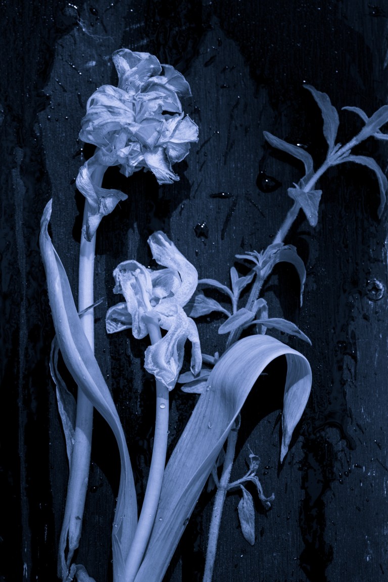 artist • educator • curator