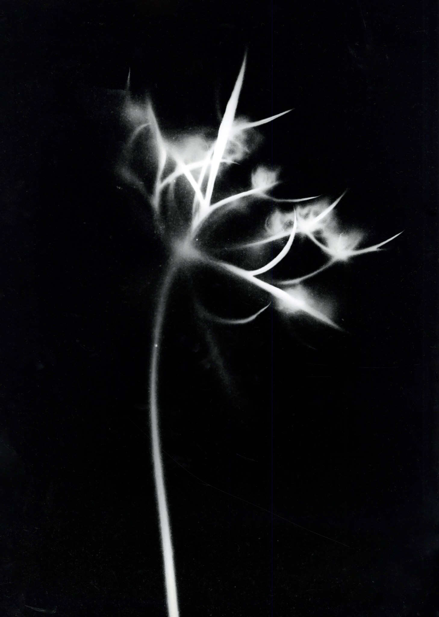 artist • educator • curator